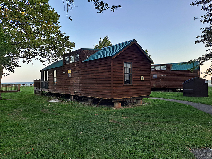 These rustic cabins offer that perfect middle ground between tent camping and hotel luxury—what I call "wilderness with Wi-Fi" for the discerning outdoor enthusiast.