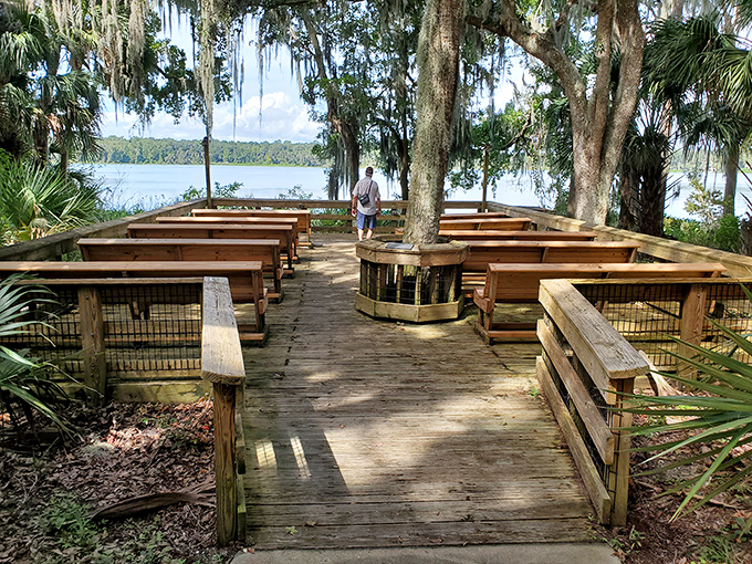 Gather 'round for stories under ancient oaks, where every seat offers shade and Spanish moss ambiance.