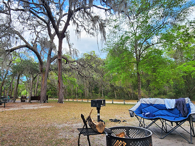 Camping under Spanish moss with a fire crackling nearby &ndash; better than any five-star hotel room. Nature's ultimate unplugged experience.