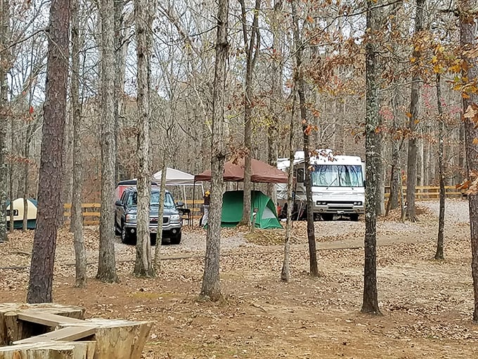 Camping at Big Hill Pond&mdash;where your backyard temporarily includes thousands of acres of wilderness and a million-star hotel overhead.