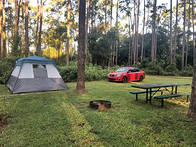 Camping in Ocala National Forest&mdash;where tall pines provide natural air conditioning and stargazing replaces Netflix as your evening entertainment.