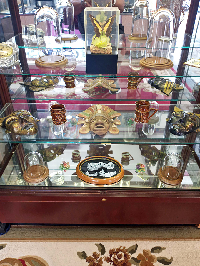 From preserved butterflies to ceremonial masks, this cabinet showcases curiosities that would make Indiana Jones jealous.