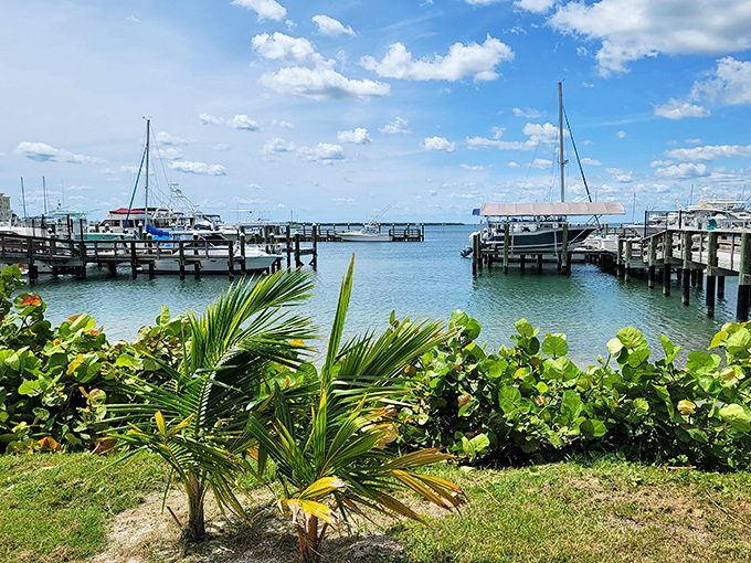 The marina view frames boats and blue water with tropical foliage &ndash; nature's perfect window dressing for a scene straight from a travel daydream.