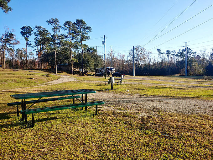 Simple pleasures define Chattahoochee &ndash; picnic tables under towering pines offer dining with a view that five-star restaurants can't match