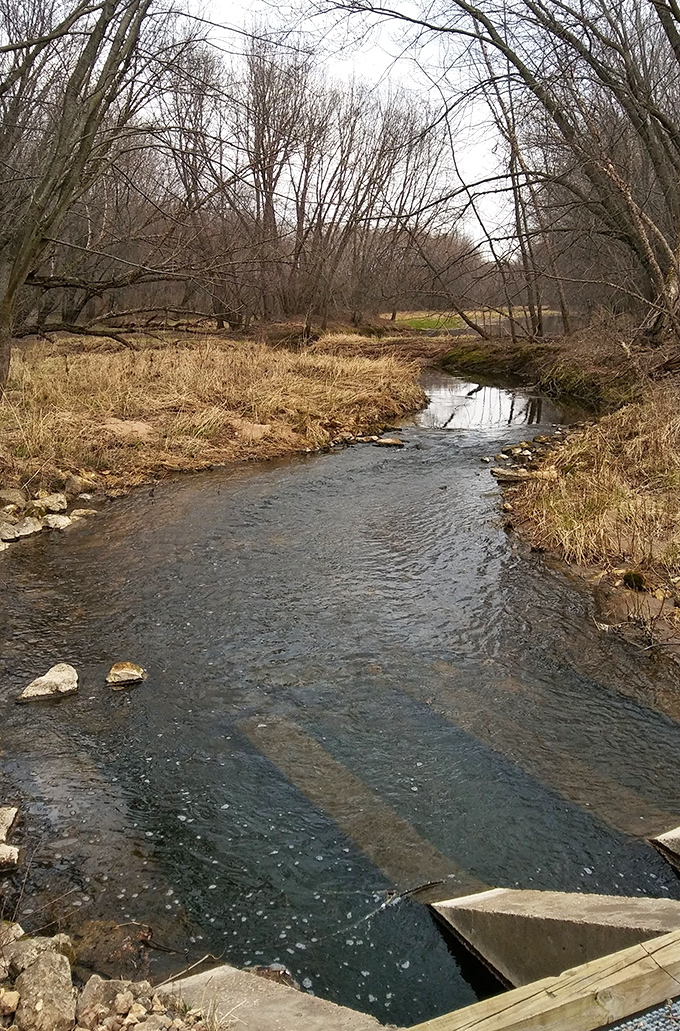 The Chippewa River State Trail meanders through early spring landscapes, where nature slowly wakes up and whispers promises of warmer days ahead.
