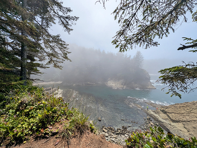 Coastal fog playing hide-and-seek with the headlands &ndash; nature's version of a mysterious opening scene in a moody detective show.