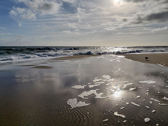When the tide retreats, it leaves behind a mirror-like canvas that perfectly captures the drama playing out in the Virginia Beach sky.