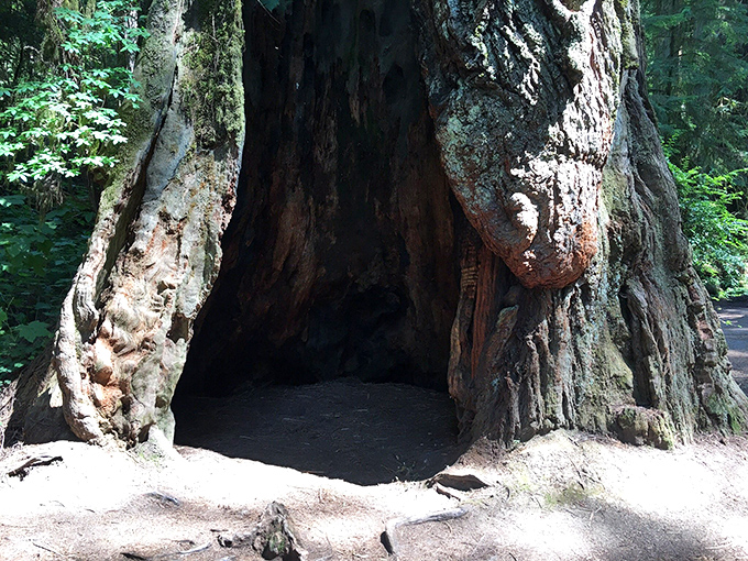 Nature's doorway carved by time and elements. Step inside and momentarily become part of something ancient.