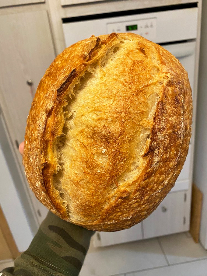 This sourdough boule isn't just bread; it's a crusty masterpiece with an interior so perfectly honeycombed it could qualify as affordable housing for bees.
