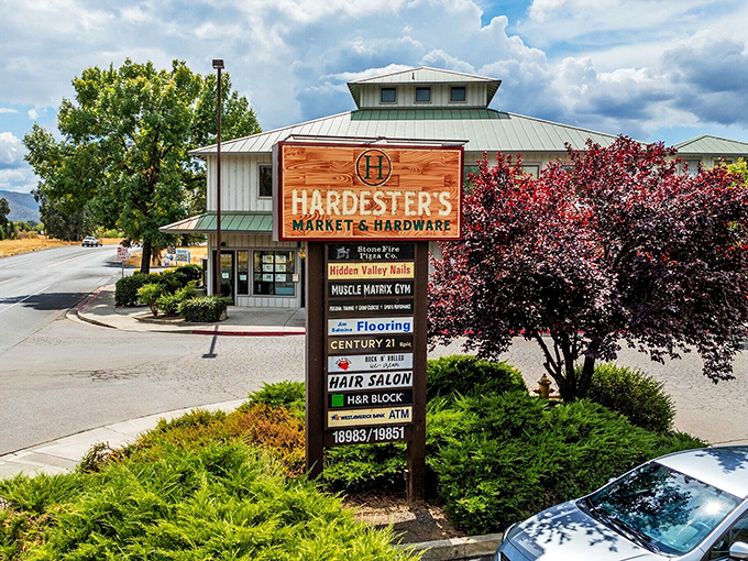 Hardester's Market &ndash; where shopping feels less like a chore and more like catching up on the town's unofficial news network.