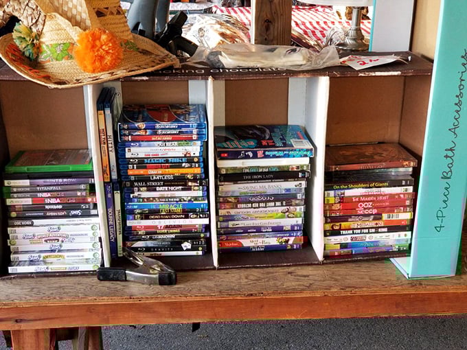 DVD collections: where nostalgia meets "I forgot I owned that!" These cinematic time capsules await their second chance at entertainment glory.