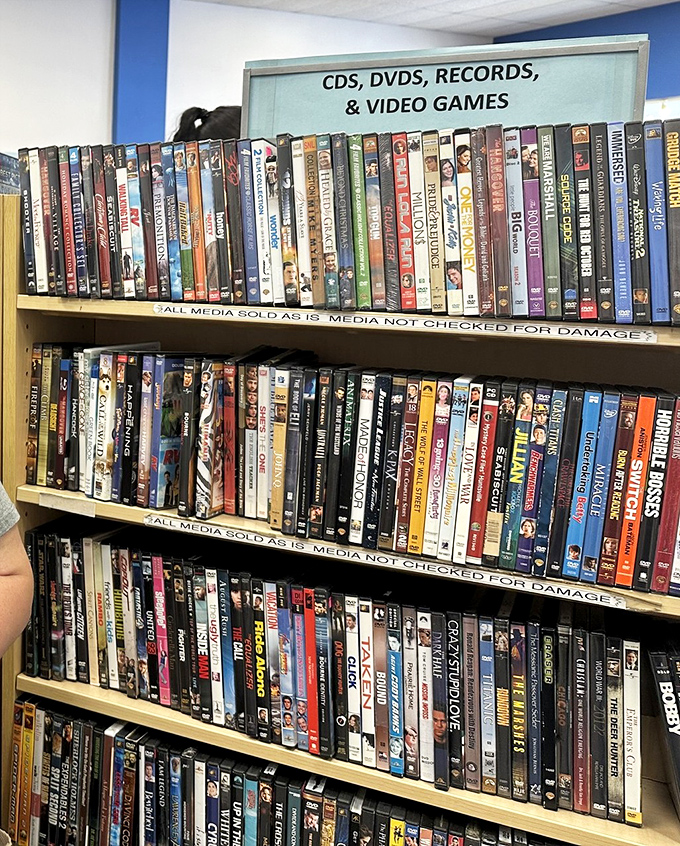 The media section offers a time capsule of entertainment history, where forgotten film favorites and gaming gems await rediscovery.