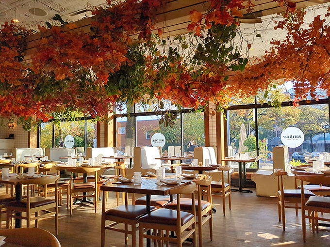 Fall brings a ceiling transformation at AMBAR, with autumn foliage creating a magical dining canopy. It's like eating in an enchanted forest, but with better service.