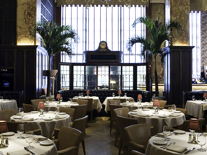 The dining room feels like it was designed by someone who understood that great meals are equal parts food and theater.