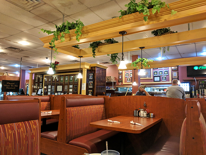 Wooden booths, hanging plants, and pendant lighting create that perfect diner ambiance where time slows down just enough to enjoy another bite.