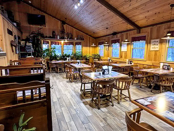 The dining room's warm wood tones and natural light create an atmosphere that says "stay awhile." Plants add touches of green to the amber-hued space.