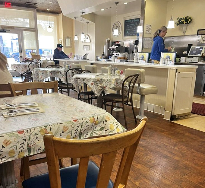 The dining area strikes that perfect balance between cozy and spacious, like your favorite aunt's kitchen somehow expanded.