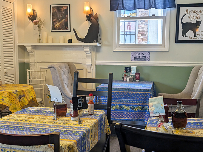 Cat-themed decor that manages to be charming without crossing into crazy-cat-person territory, creating a cozy “breakfast at grandma’s” comfort factor.