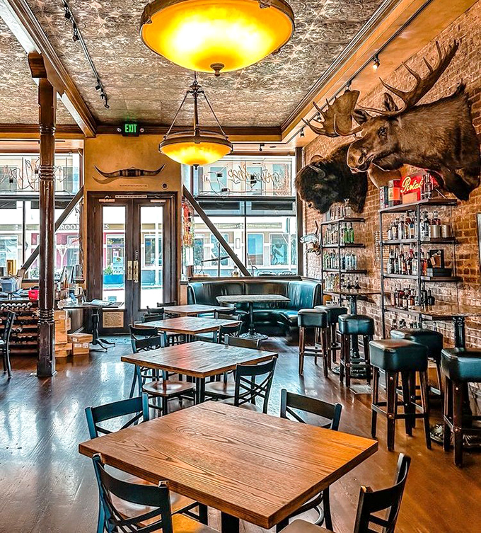Taxidermy meets tin ceilings in this dining room where rustic charm and hunting lodge aesthetics create an atmosphere as memorable as the food.