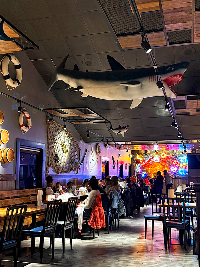 The shark overhead isn't the only predator here&mdash;diners attack their seafood feasts with equal parts enthusiasm and strategic planning.