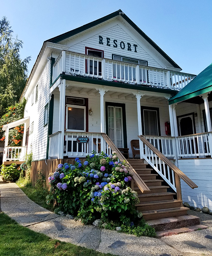 The Downieville River Inn & Resort's hydrangeas might be the most photographed flowers in town &ndash; nature's own welcome committee for weary travelers.