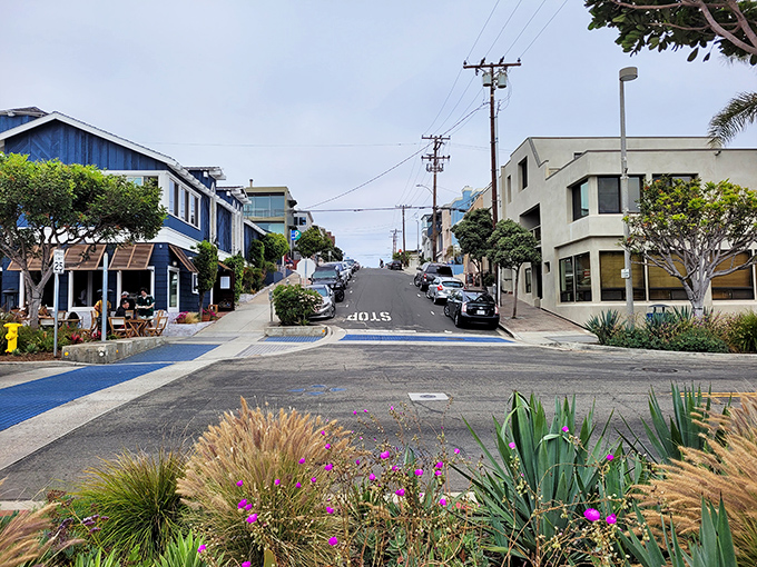 Downtown streets slope toward the ocean, creating a neighborhood where even running errands comes with a side of breathtaking views.