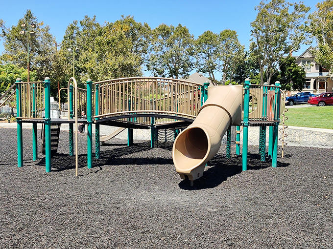 This playground might not win architectural awards, but it's where generations of Hollister kids have conquered slides and made lifetime friendships.