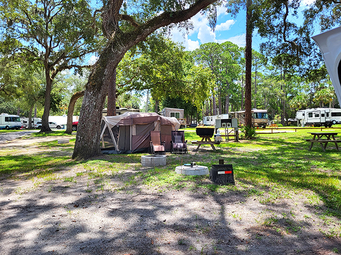 Camping under oak trees at Eleanor Oaks RV Park &ndash; where "roughing it" means you might have to share your Wi-Fi password with a squirrel.
