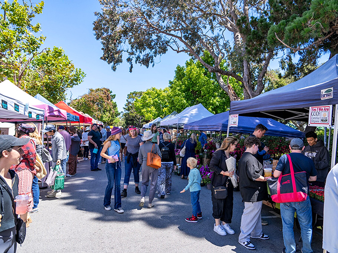 Carmel's farmers market&mdash;where the produce is so fresh, it was probably still growing this morning. Local flavor at its finest!