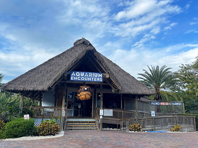 "Aquarium Encounters" promises exactly what the Keys deliver naturally&mdash;a close-up with the vibrant underwater world that surrounds these islands.