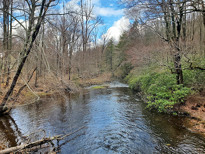 Winter's retreat gives way to spring's advance in this woodland stream. Nature's cycle visible in one perfect Pennsylvania moment. 