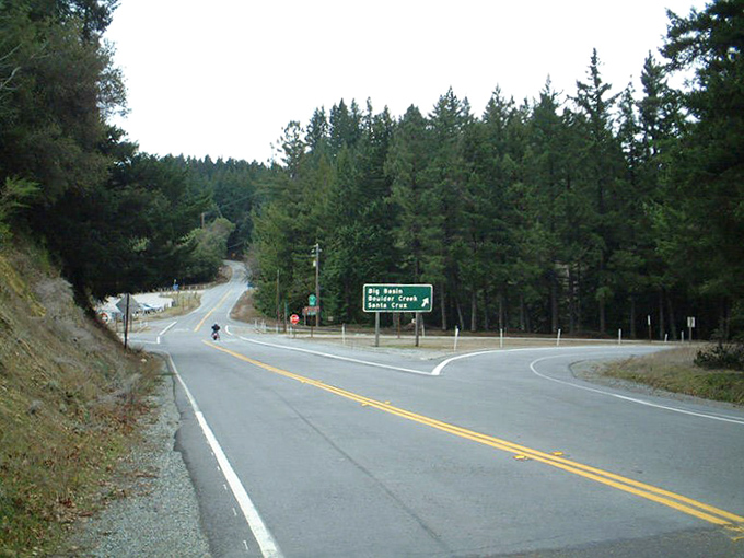 Where forest meets asphalt &ndash; a junction that reminds you that the best adventures often happen at the intersection of civilization and wilderness.
