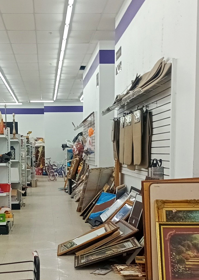 The frame section: where forgotten art and abandoned mirrors wait for second chances. That gilded frame probably has stories to tell.