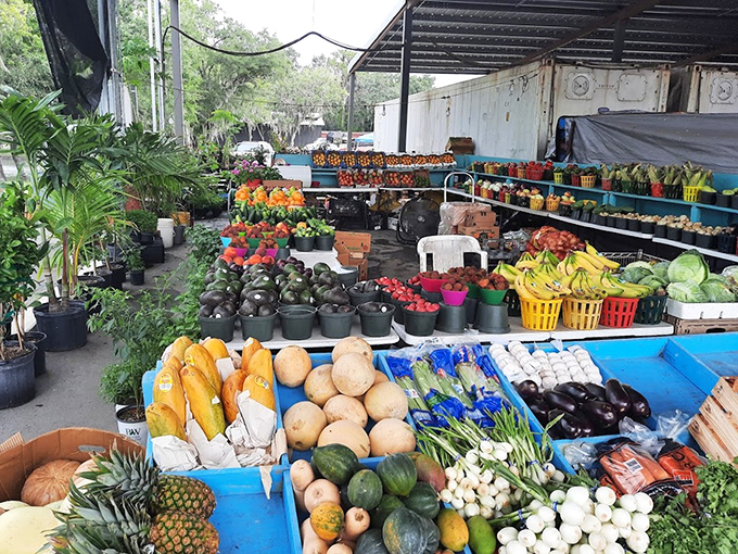 A produce department that makes grocery stores look like amateurs. Those eggplants didn't spend their lives in fluorescent lighting&mdash;they grew up with character and sunshine.