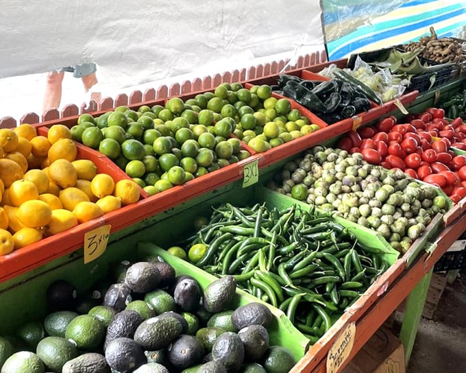 Nature's color palette on display. These fruits and vegetables didn't get the memo about Florida's reputation for processed food&mdash;they're gloriously, rebelliously fresh.
