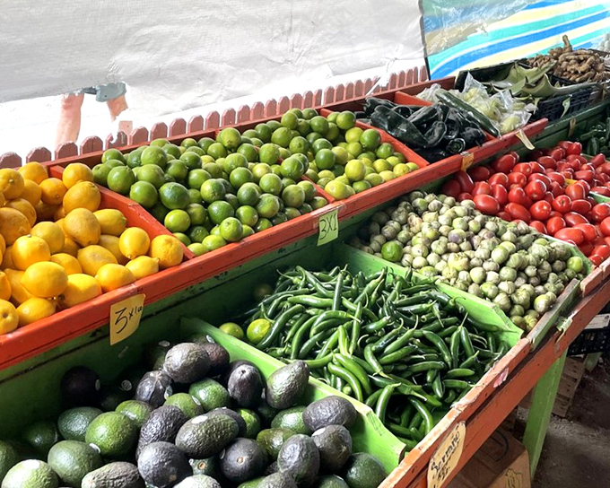 Nature's color palette on display. These fruits and vegetables didn't get the memo about Florida's reputation for processed food&mdash;they're gloriously, rebelliously fresh.