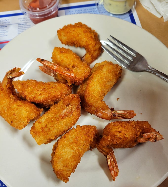 Fried shrimp wearing golden armor, each one a perfect bite of sweet seafood beneath that crispy exterior. Simple perfection on a plate.