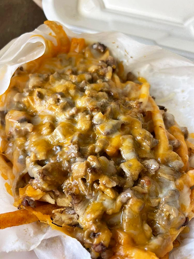 Cheese fries that blur the line between side dish and main event, with melted goodness clinging to each fry like it's afraid of being left behind.