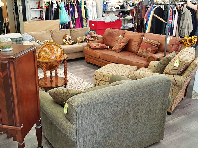 An impromptu living room setup that looks like it's waiting for someone to plop down with a good book and forget about adulting for a while.