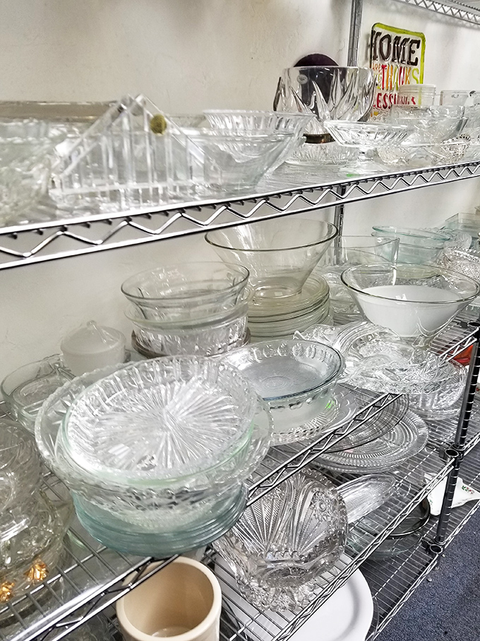 Crystal and glass treasures catch the light and imagination—these aren't just serving dishes, they're conversation pieces with stories yet to be written.