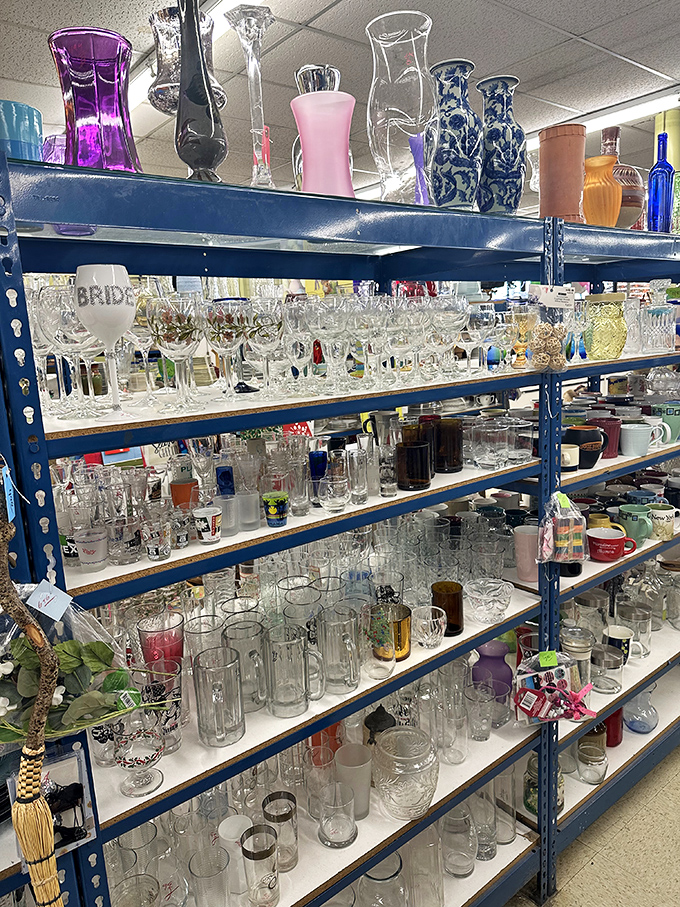 The glassware section: where your imaginary sophisticated cocktail party meets affordable reality. "Yes, these are vintage crystal. No, I didn't mortgage anything."