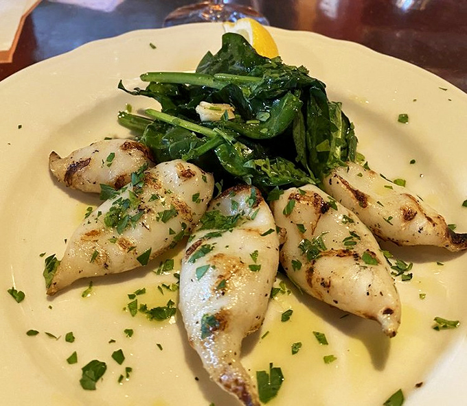 Grilled calamari that doesn't require Olympic-level chewing, served with greens that actually complement rather than merely garnish.