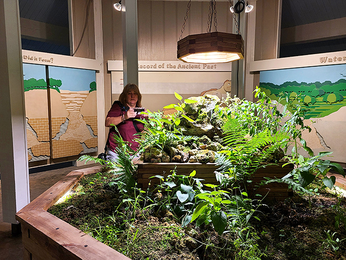 The visitor center brings the outdoors inside with living exhibits. This miniature ecosystem showcases the plant life that makes the sinkhole so special.