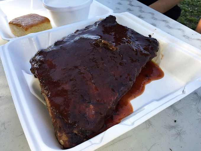Half rack of ribs glistening with that perfect lacquer that says, "I've been pampered for hours in wood smoke until I reached my full potential."