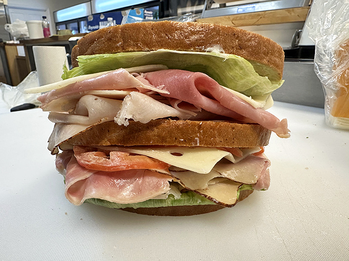 The club sandwich that makes you question all other sandwiches. Multiple layers of meat, cheese, and freshness create this architectural wonder.