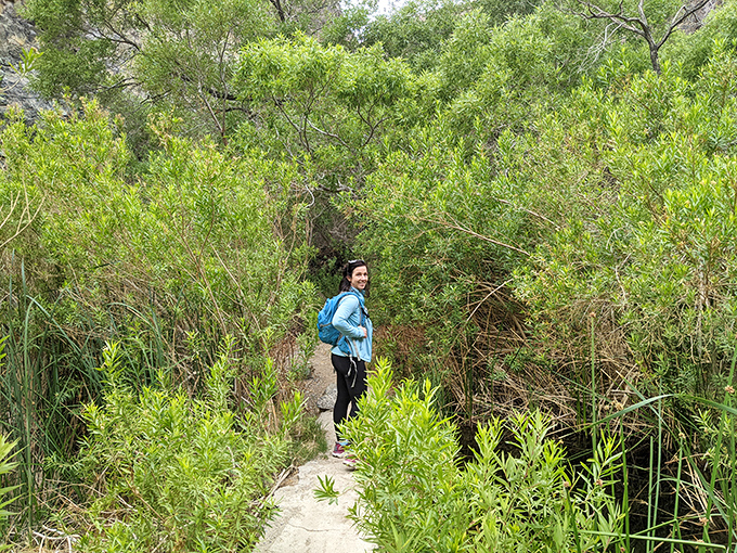 A hiker navigates the jungle-like path to Darwin Falls&mdash;proof that Death Valley contains multitudes, like your aunt's mysterious purse.