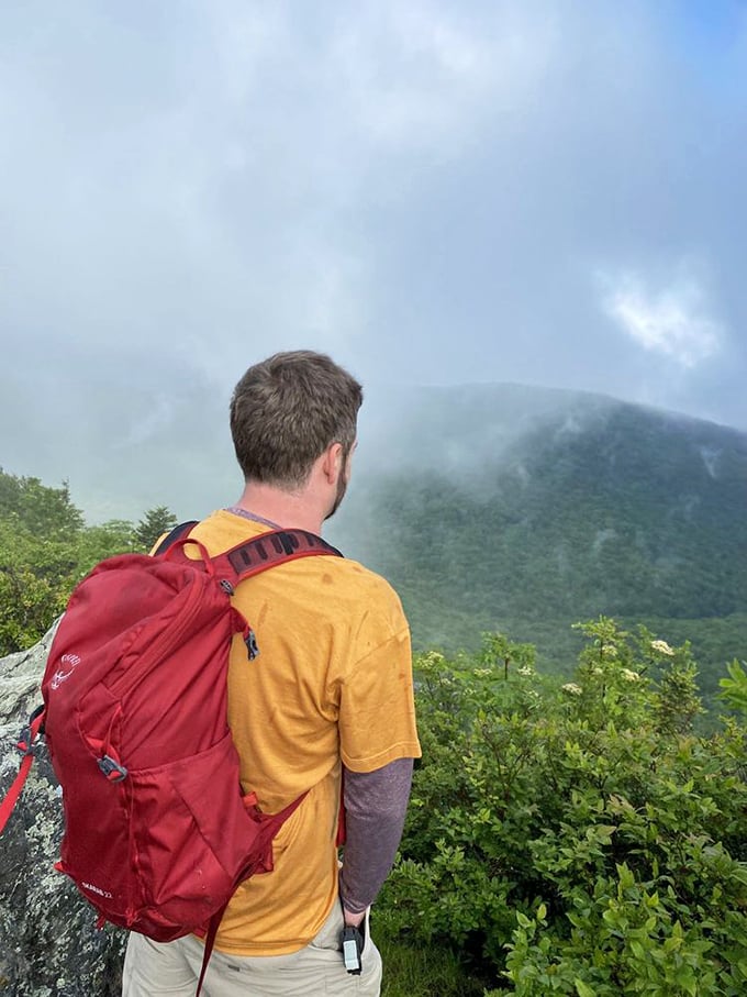 Sometimes the best view comes after the toughest climb. This hiker's reward? A private showing of nature's most spectacular misty mountain hop.