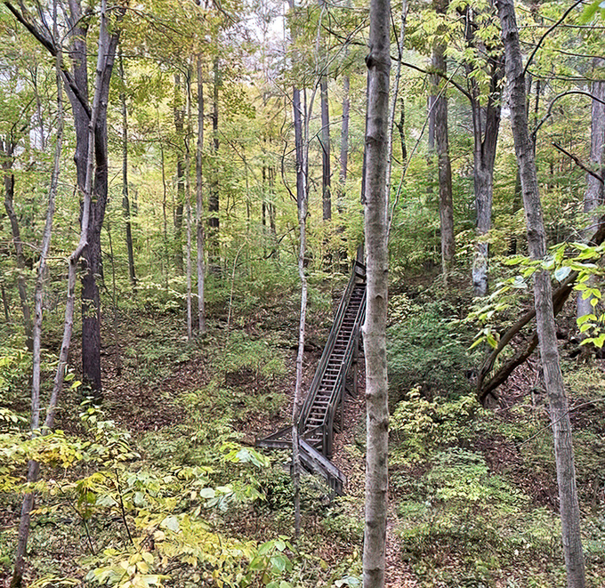 These wooden stairs aren't just a path—they're a stairway to heaven for hikers seeking the park's hidden ravines.