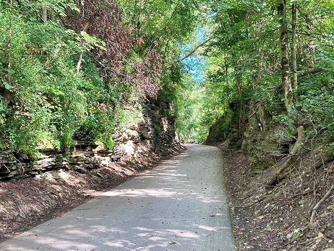 The Holmes County Trail cuts through the landscape like nature's hallway, dappled sunlight creating patterns that no Instagram filter could improve upon.