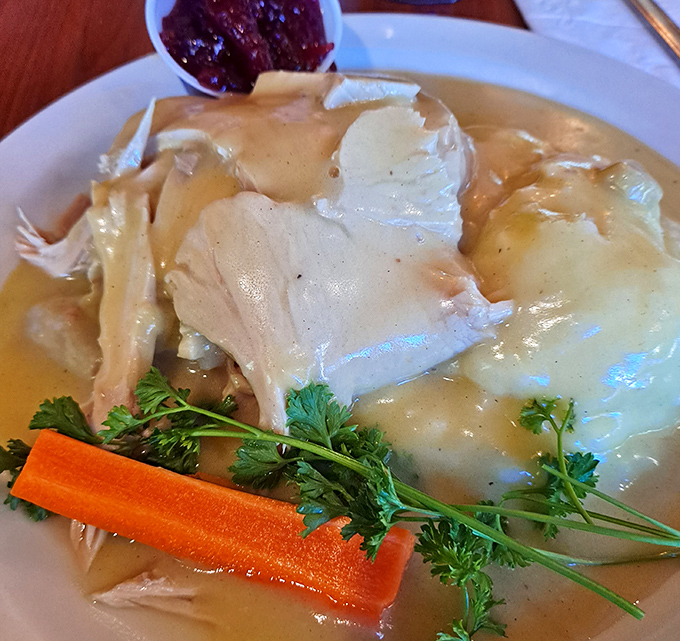 Hot turkey dinner with all the fixings—like Thanksgiving without the family drama. Comfort food that actually comforts.